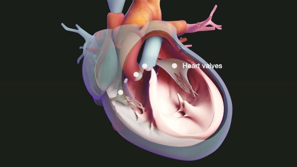 Keyhole Heart Surgery Benefits Over Conventional Heart Surgery ...